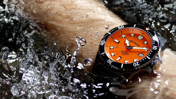 Cestrian Dive Series V2